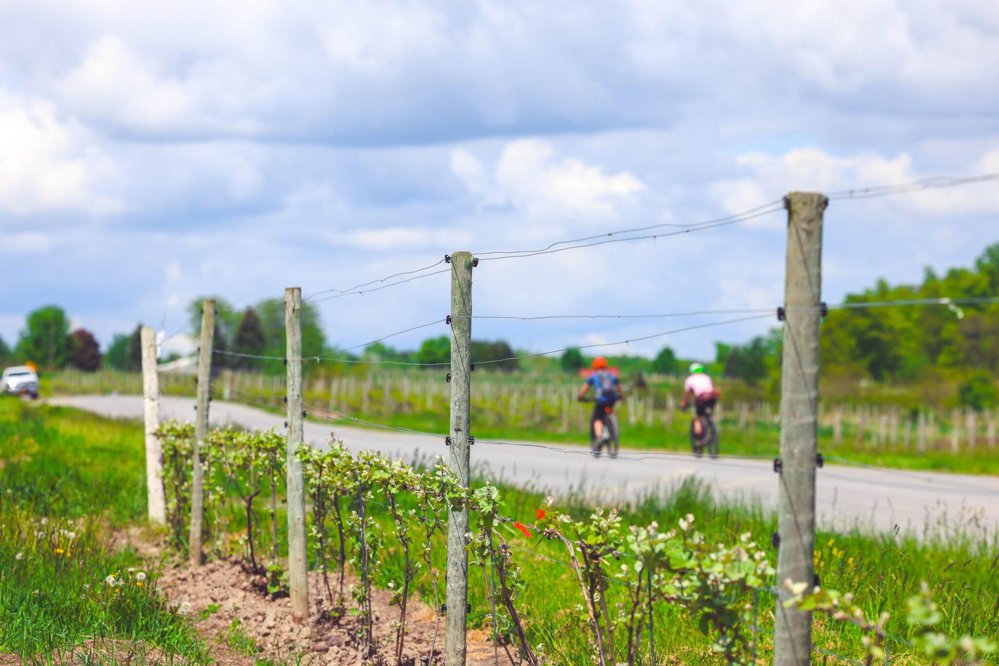 Spring Break Adventure Guide | Finger Lakes Wine Country